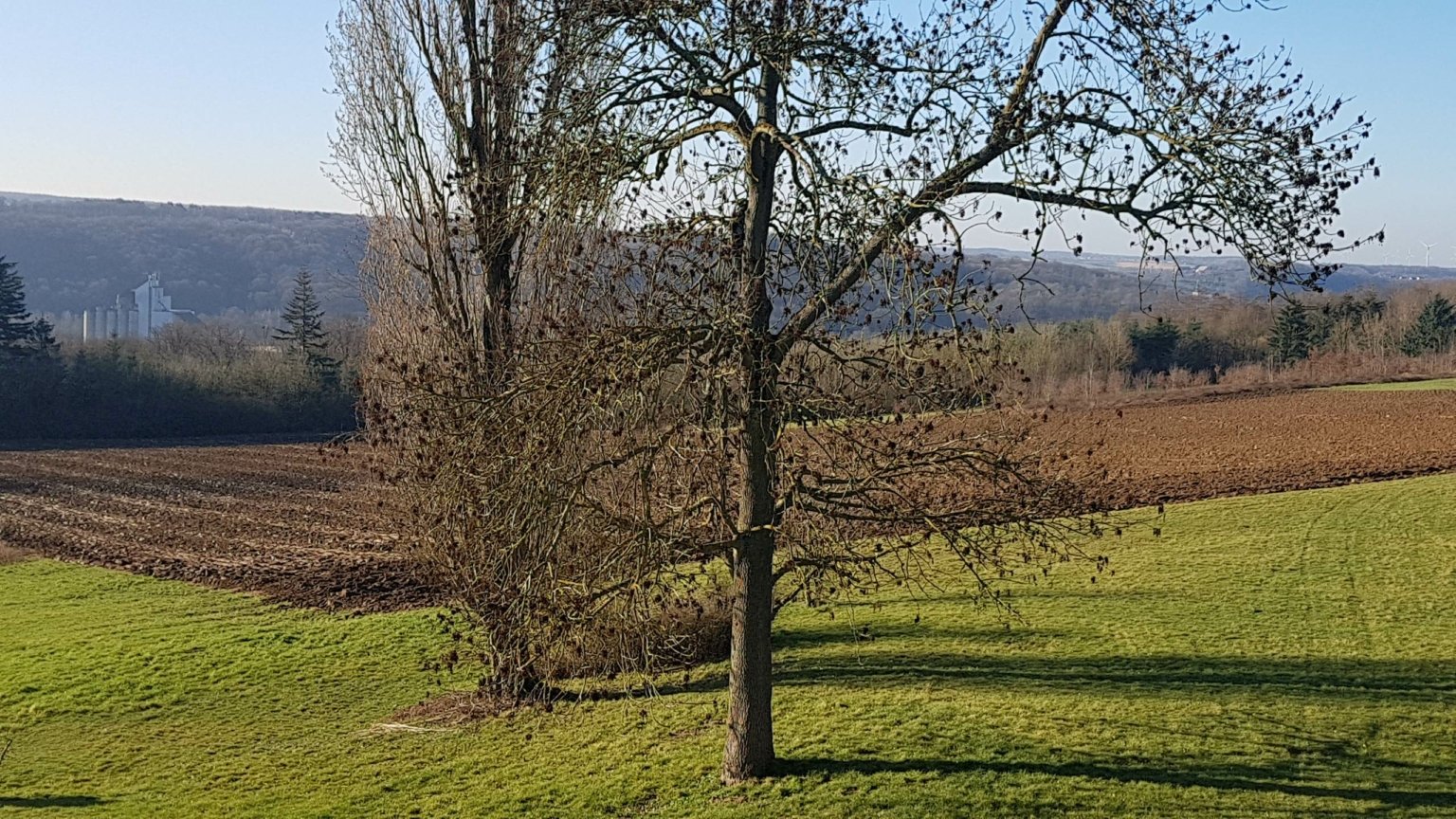 Histoire - Domaine les IV seigneurs